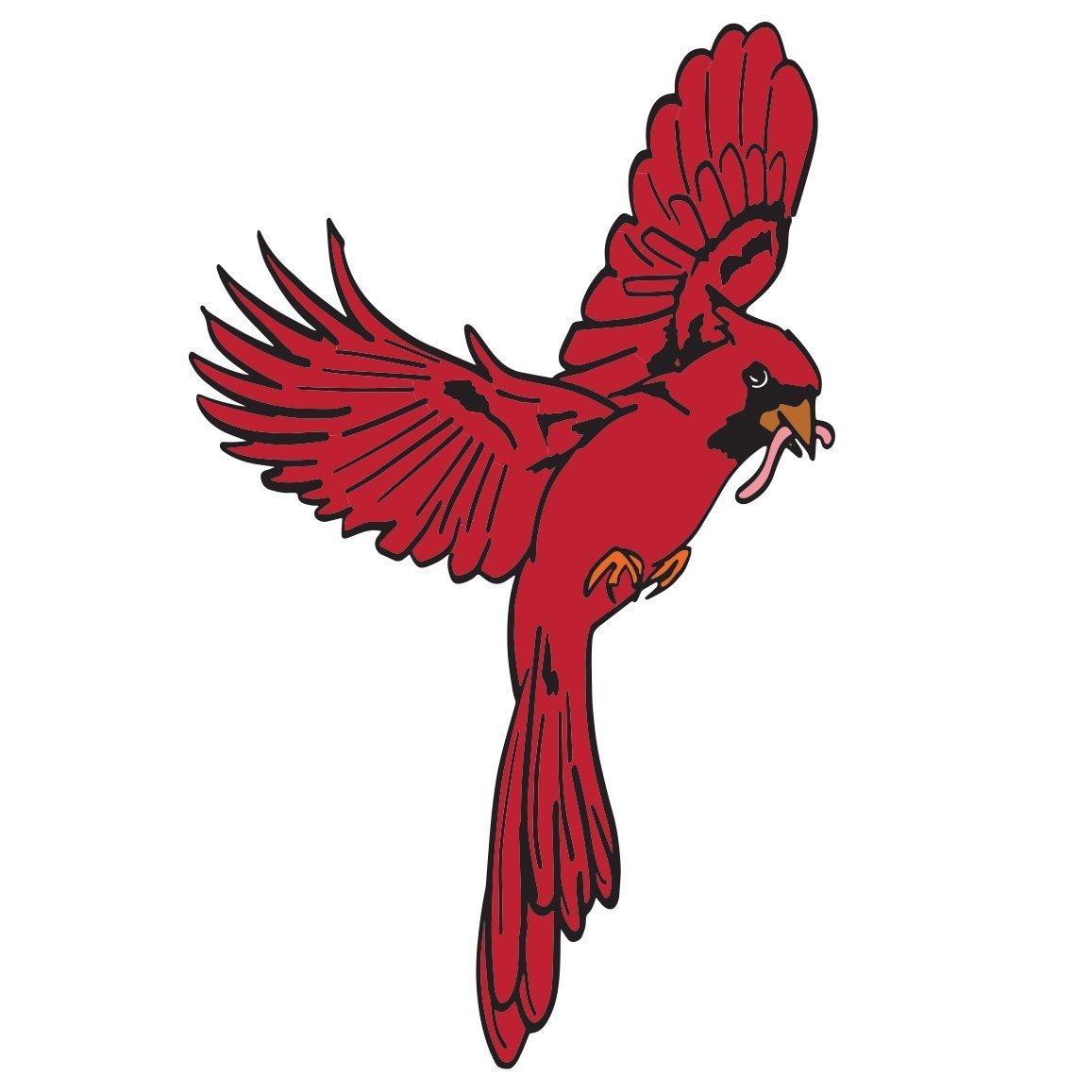 Cardinal Film Lab